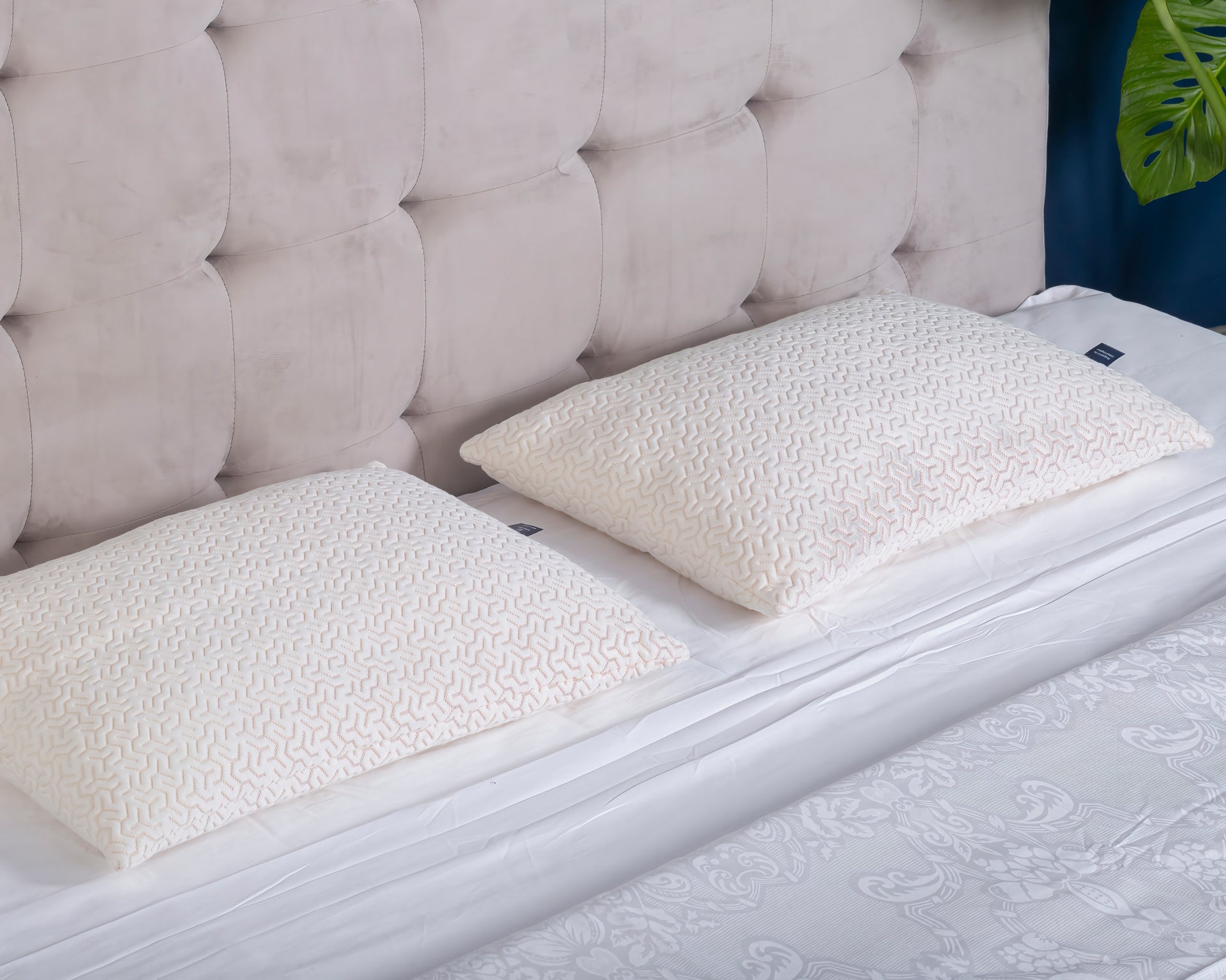 Oxford Natural Latex Pillow – London Sleep Company